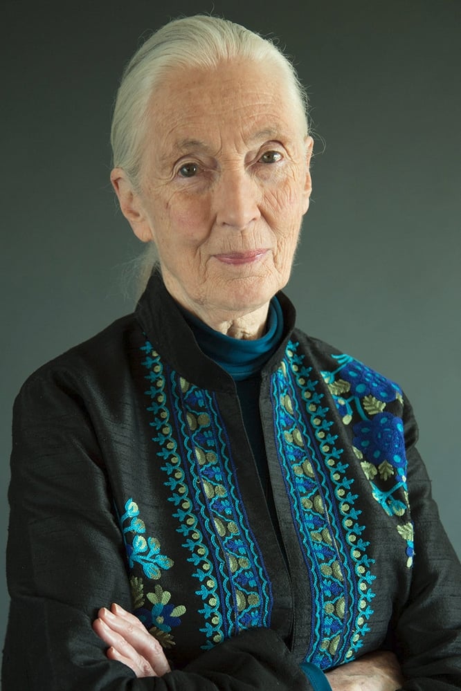 Watch Jane Goodall Movies Online | Xstream Play